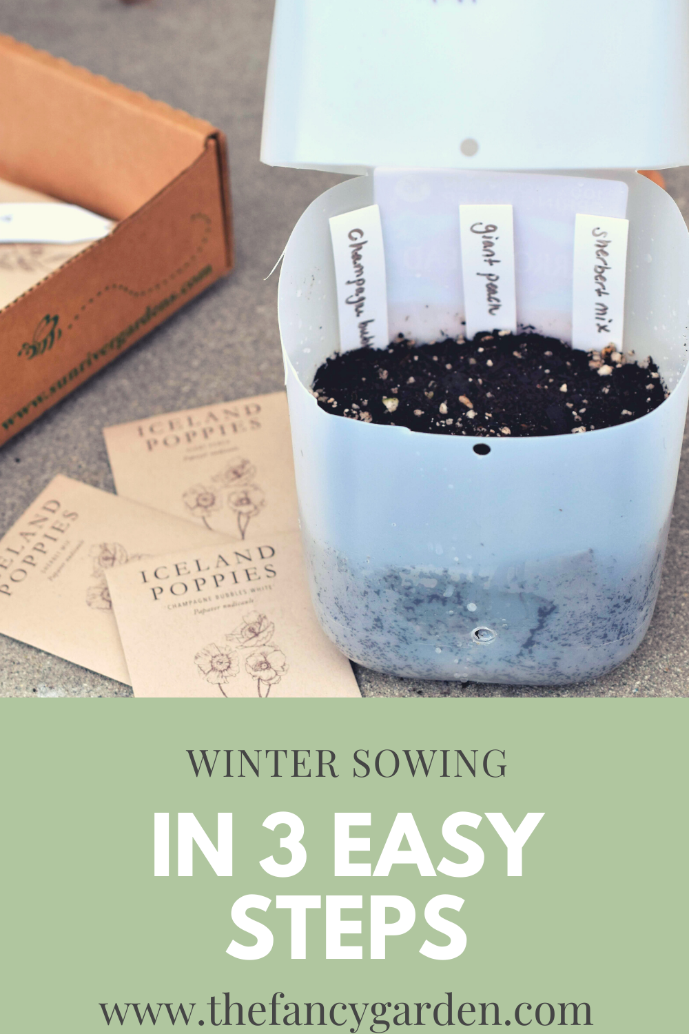 Winter Sowing in 3 Easy Steps | The Fancy Garden